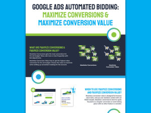 Maximize Conversions & Conversion Value Bidding | Omnitail